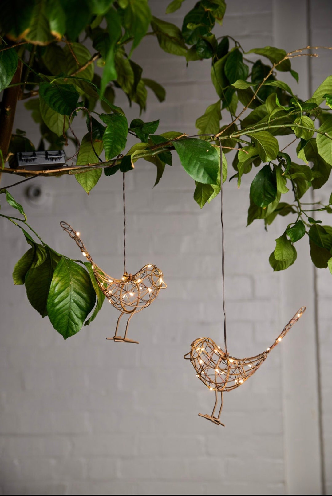 Outdoor Battery Lights Hanging Cute Robin Light on String Garden and ...