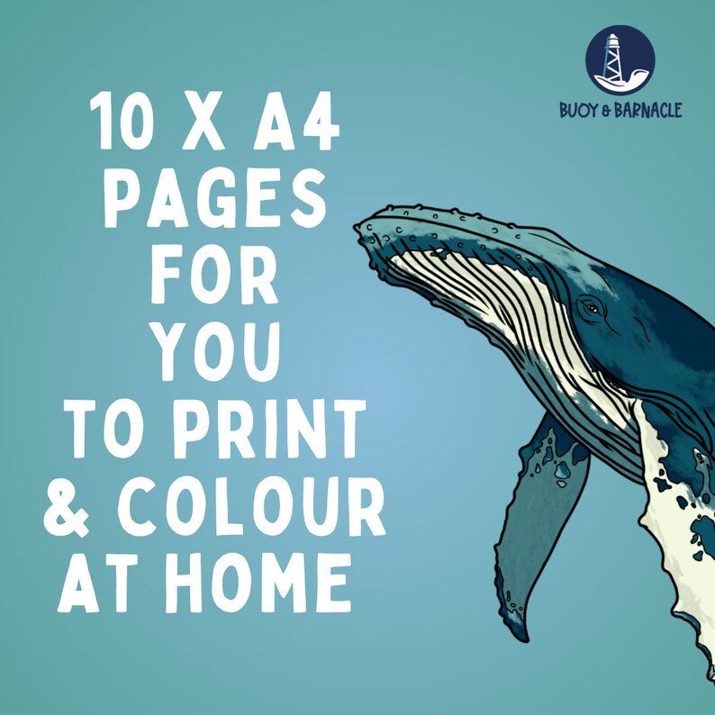 Relax and Colour Your Way Through New Zealand - Set of 10 Printable Nz ...