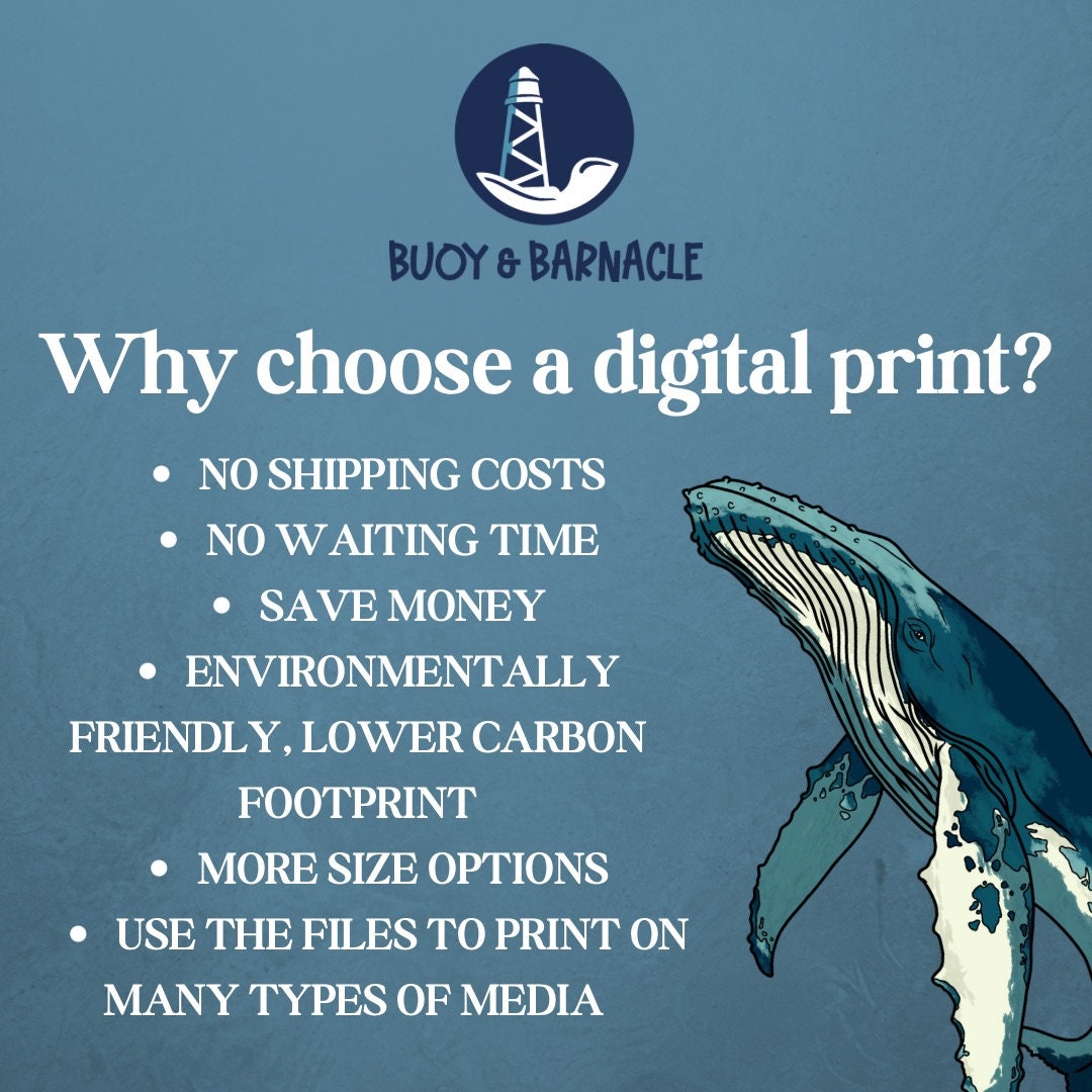 Turkey Colouring Pages Contains 10 Turkish Themed Pictures to Download ...