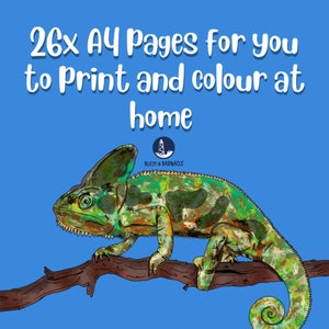 Explore the Animal Kingdom - A-Z Animal Colouring Pages for Kids and ...