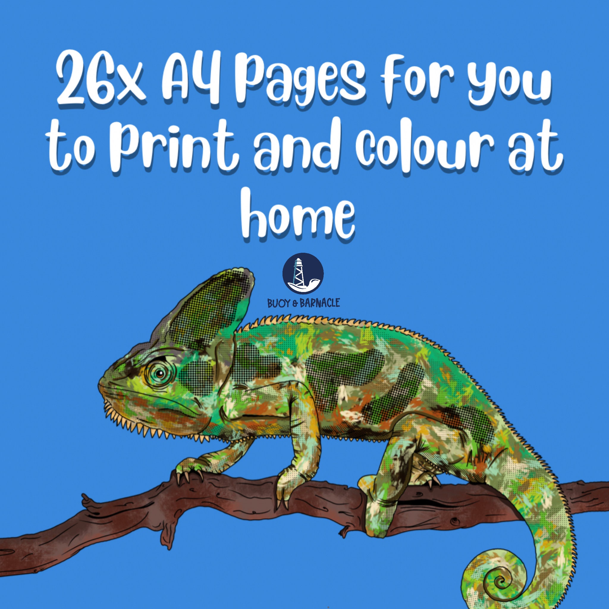 Explore the Animal Kingdom A-Z Animal Colouring Pages for Kids and ...