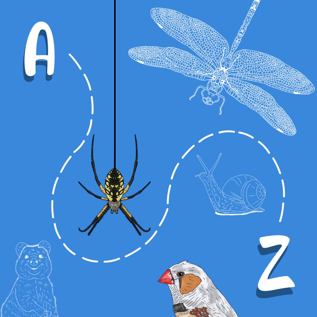 Explore the Animal Kingdom A-Z Animal Colouring Pages for Kids and ...