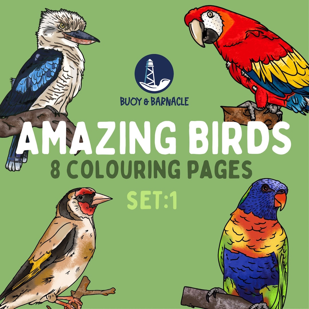 Printable Bird Colouring Pages - 8 Beautiful Designs for Adults and ...