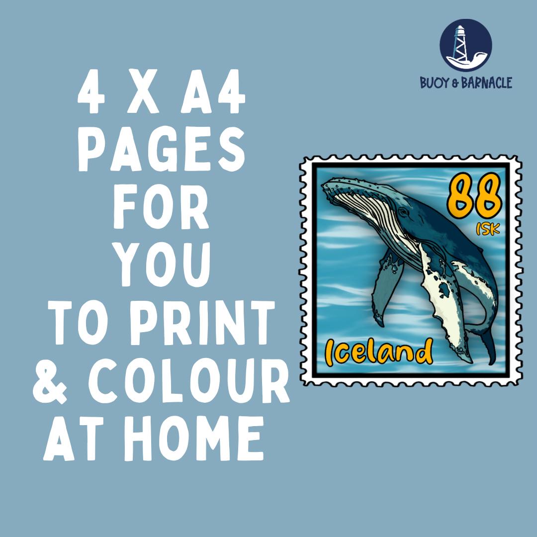 Postage Stamp Colouring Pages Contains 4 Stamp Themed Pictures to ...