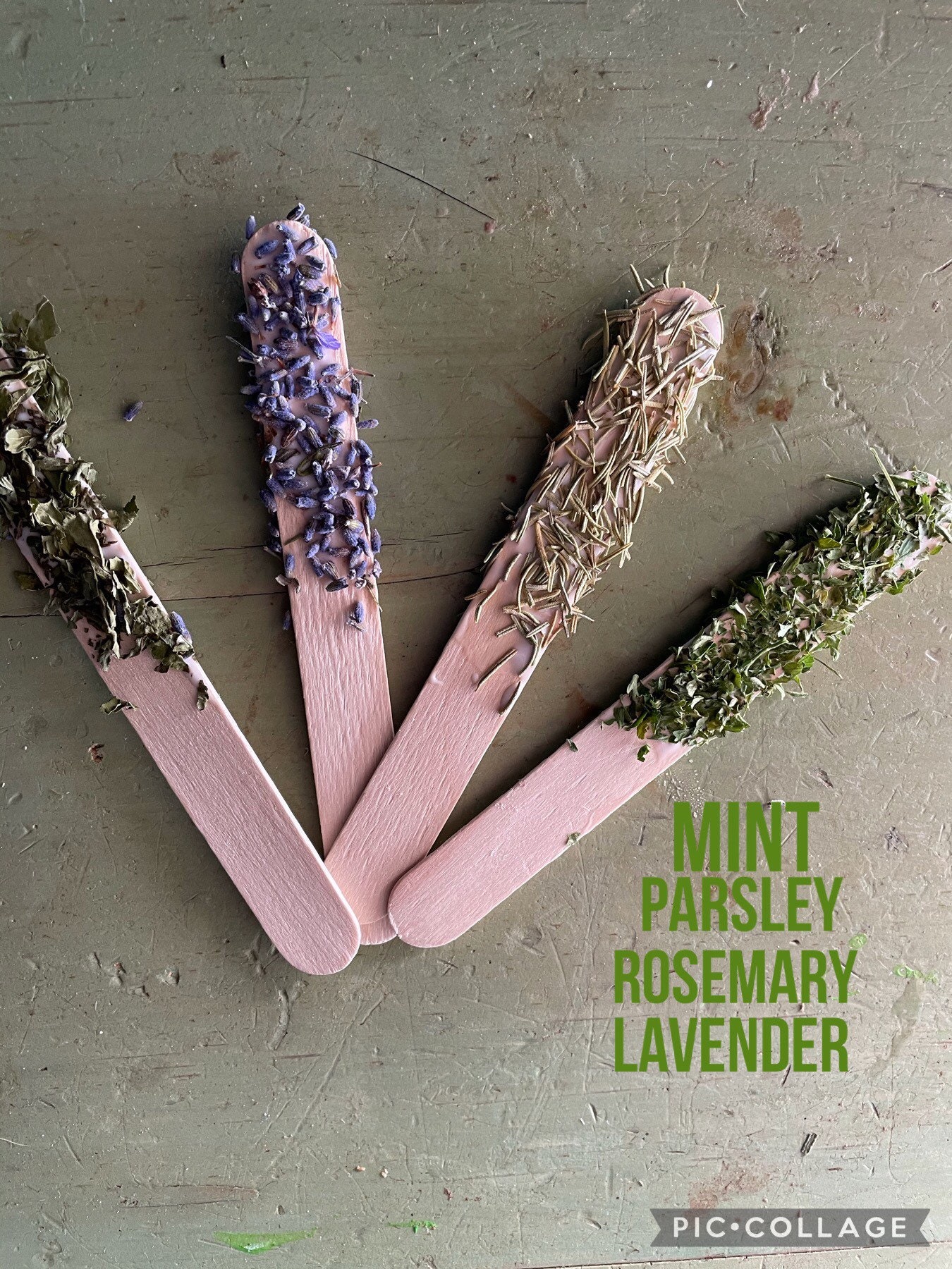 Going Green Herb Wands + Bunny Chew Treat + 2 or 4 Pack +bunny Toys - Etsy