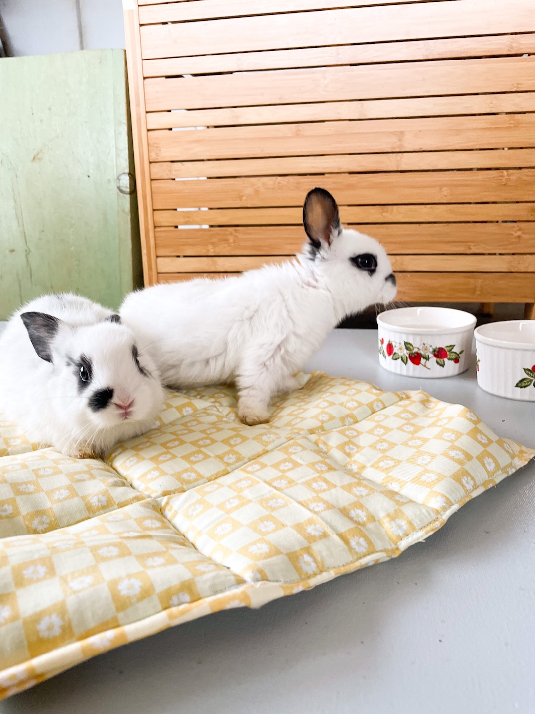 PLAY MATZ, Bunny Bed, Rabbit Mats, Aesthetic Pet Feeding, Pet ...