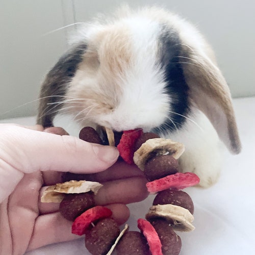 FRUITY FLINGS Bunny Boredom Buster Toy Rabbit Guinea Pig - Etsy