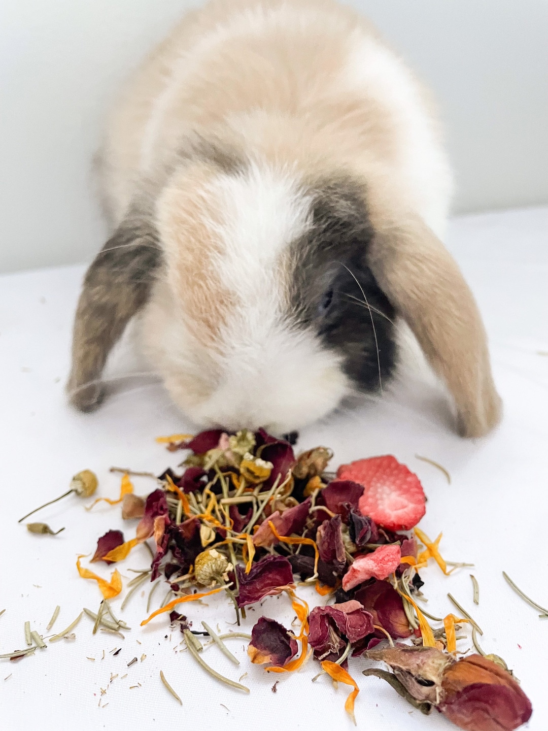 Strawberry Meadows Blend/bunny Guinea Pig Forage Treat Mix, Organic ...