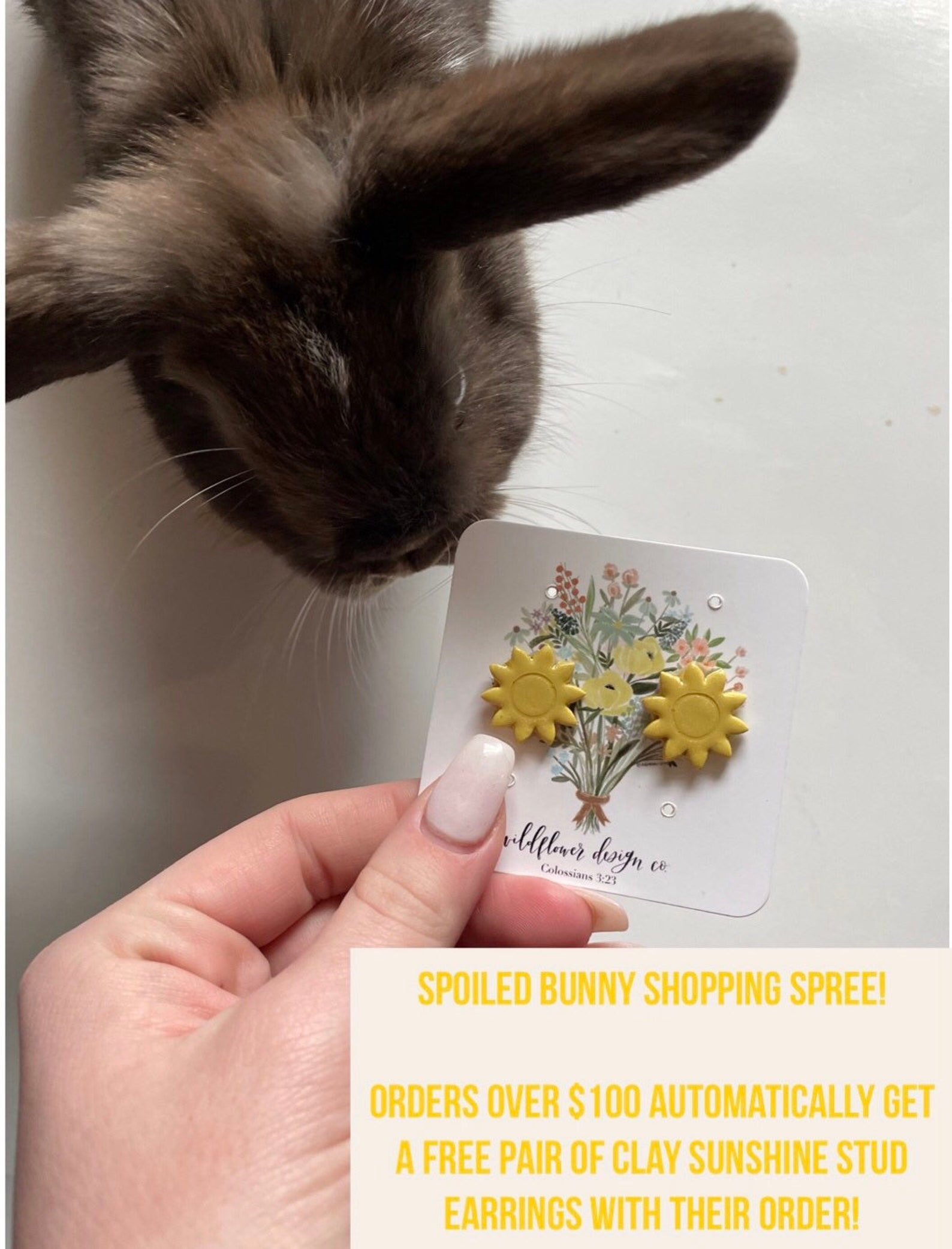 Hay BUNNY BITES Organic Rabbit Treats Baby Bunny Bunny | Etsy