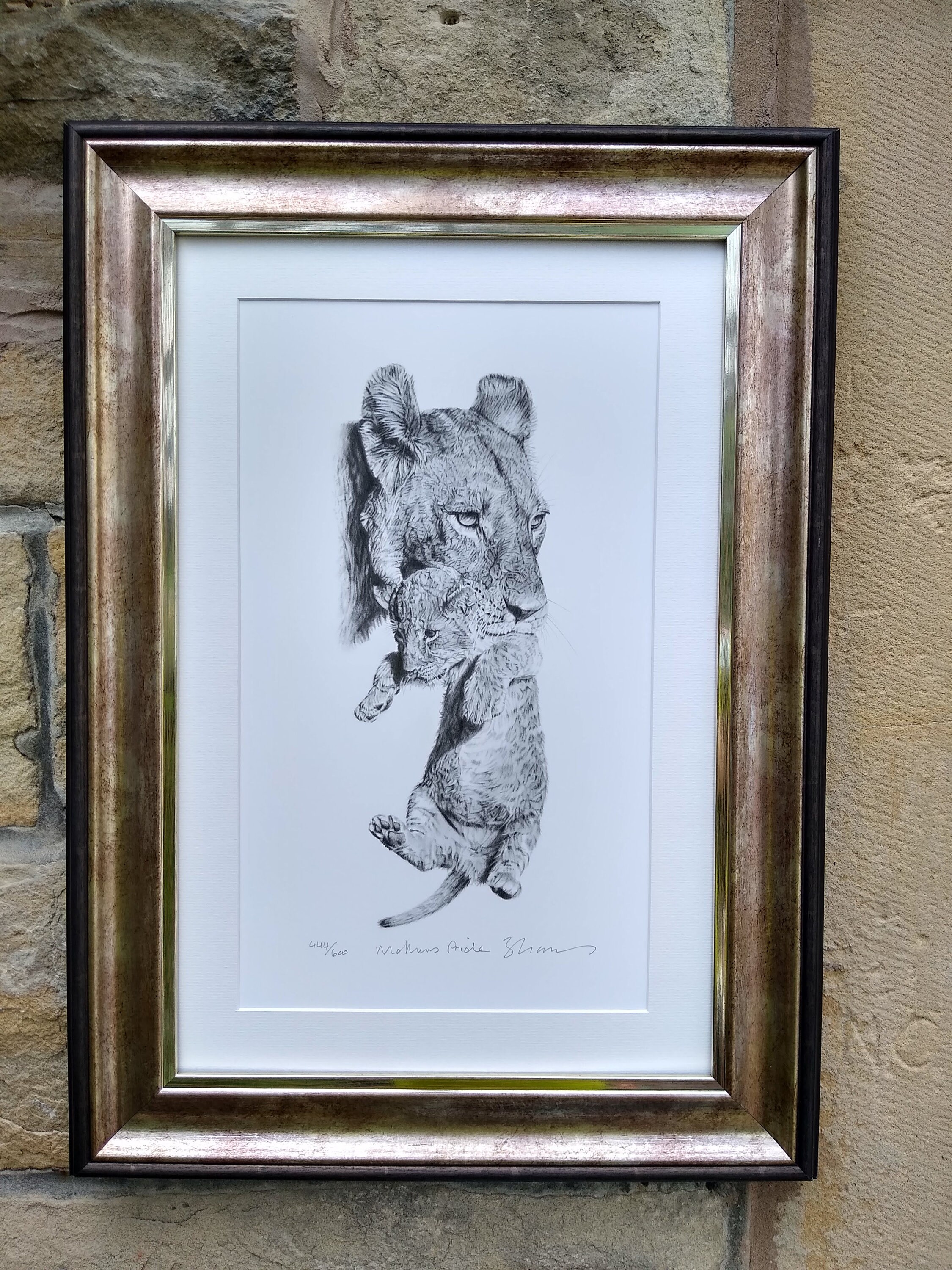 Mother and Baby Lion Pencil Drawing Limited Edition Print. Mothers ...