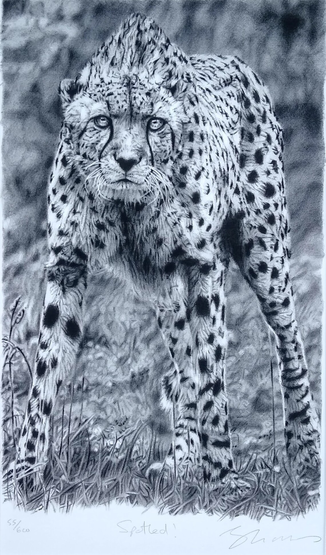 Cheetah Pencil Drawing Limited Edition Print. Spotted! - Etsy
