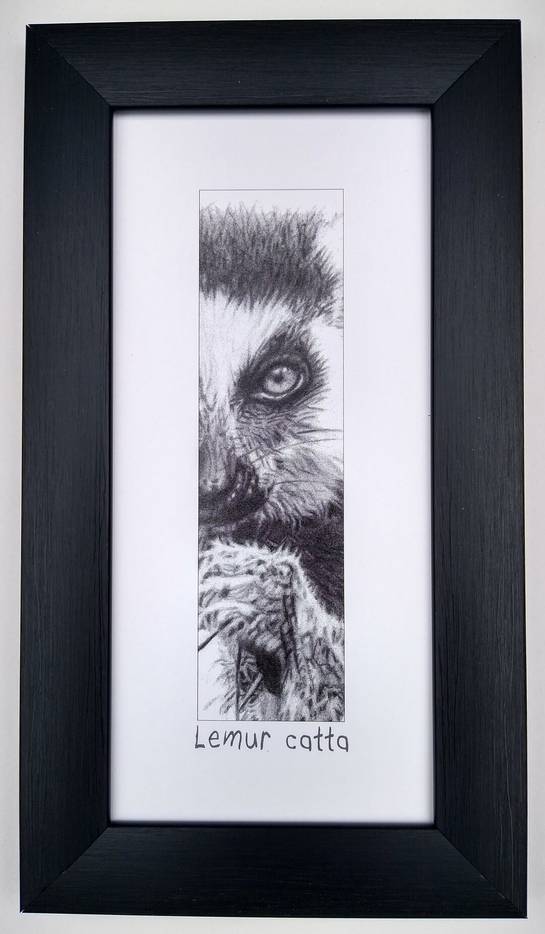 Lemur Pencil Drawing Framed Print by Leon Evans - Etsy