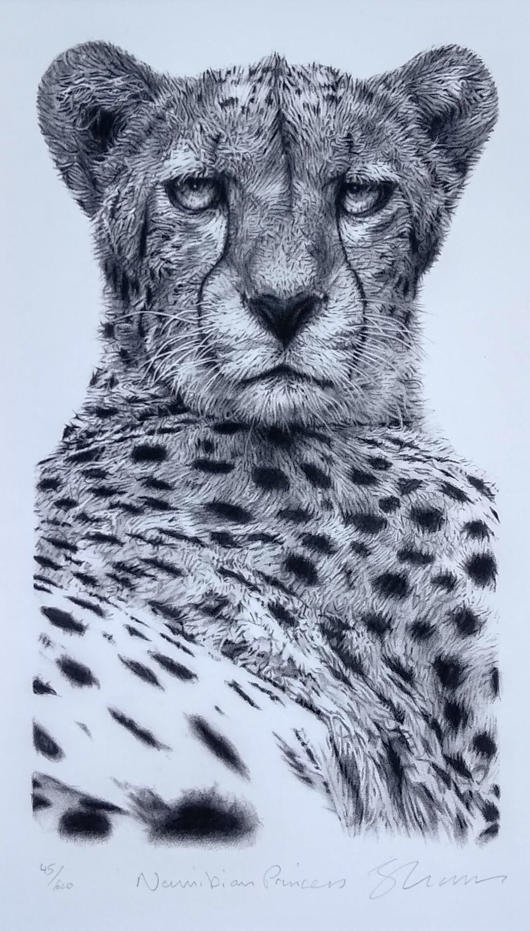 Cheetah Pencil Drawing Limited Edition Print. Namibian Princess - Etsy