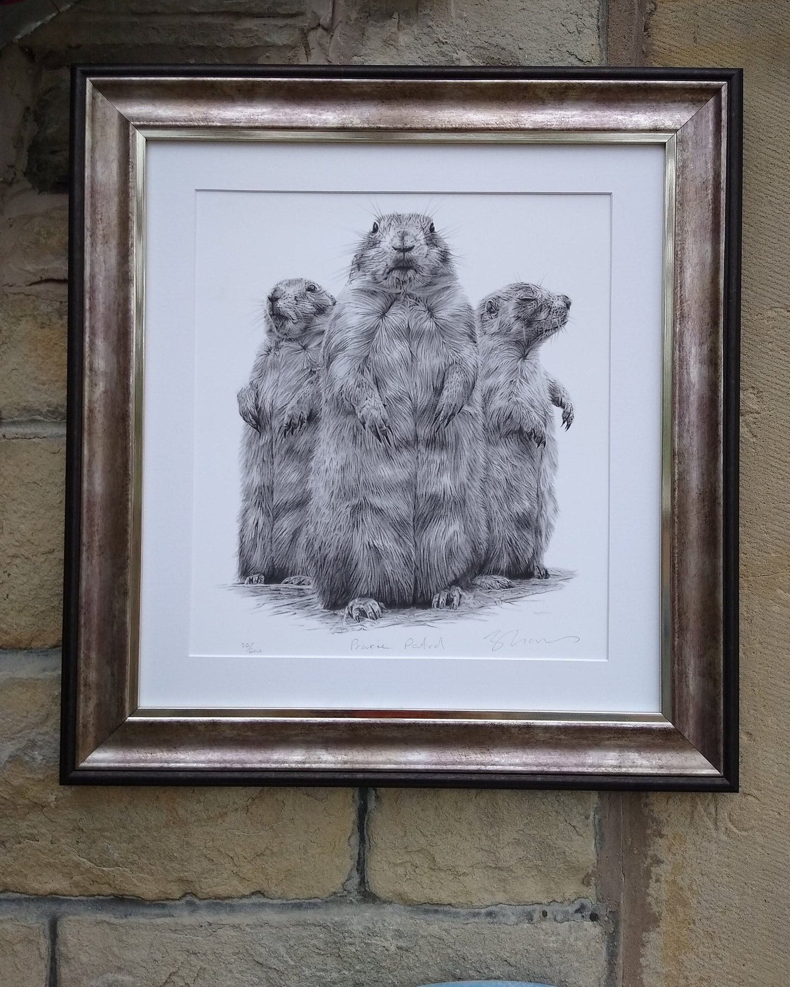 Prarie Dogs Pencil Drawing Limited Edition Print. Prarie Patrol - Etsy