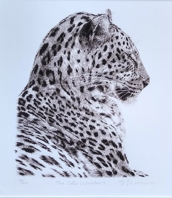 Leopard Pencil Drawing Limited Edition Print. the Cats | Etsy