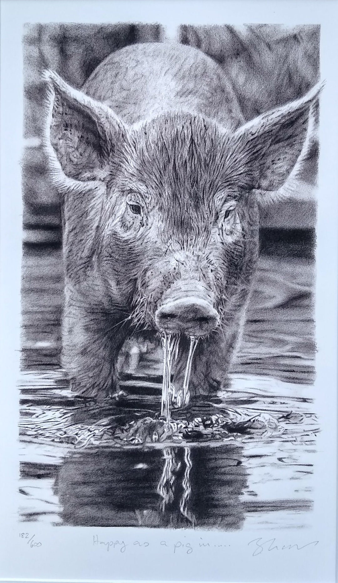 Pig Pencil Drawing Limited Edition Print. Happy as a Pig In... - Etsy
