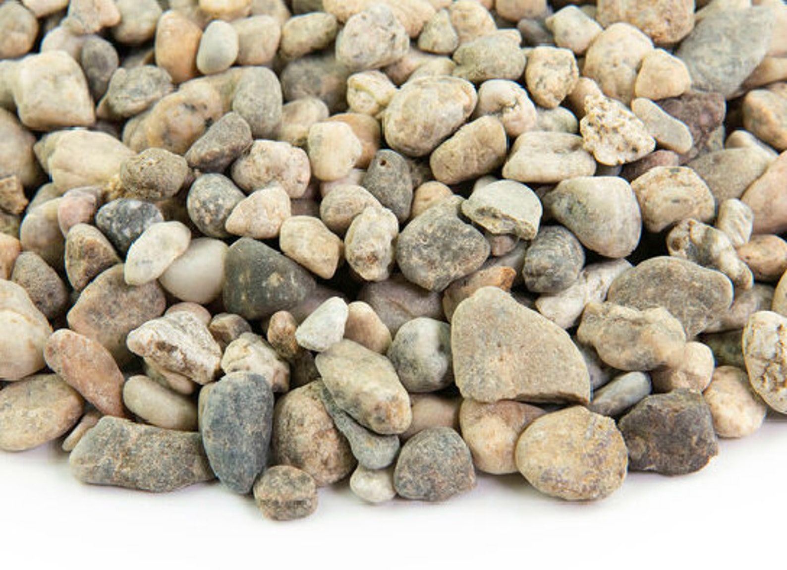 Del Rio Pebble | Succulents and Cactus Top Dressing | Succulent ...