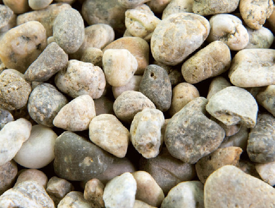 Del Rio Pebble | Succulents and Cactus Top Dressing | Succulent ...