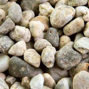 Del Rio Pebble | Succulents and Cactus Top Dressing | Succulent ...