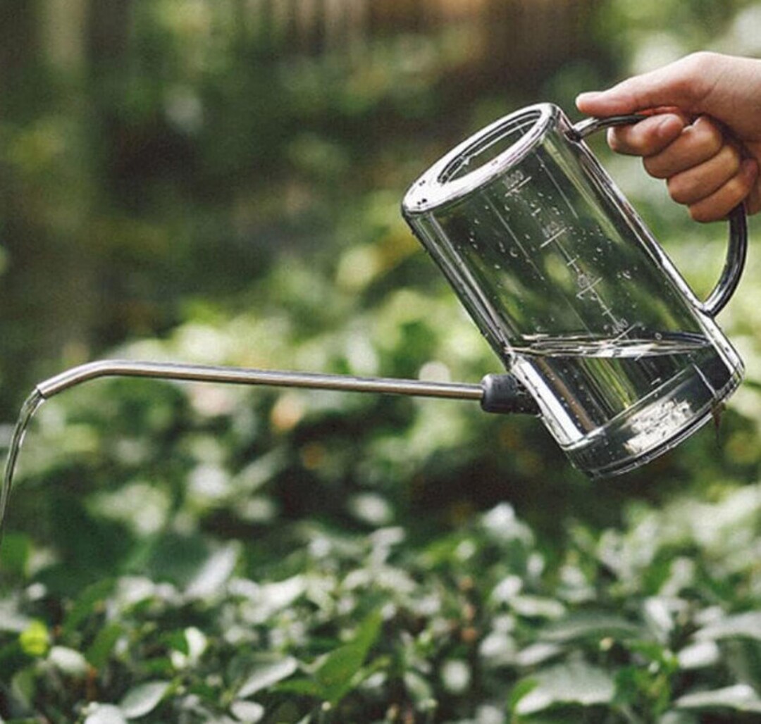 Dark Gray Watering Can With Stainless Steel Long Spout for Outdoor and ...