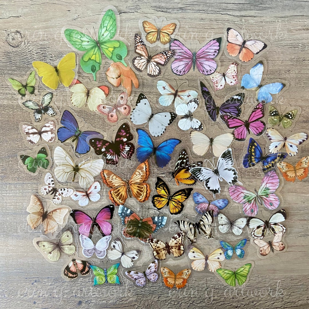 Butterfly Sticker Pack / Mystery Assortment of Butterflies - Etsy