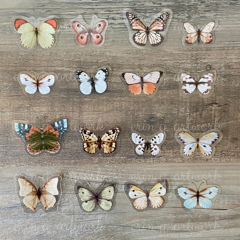 Butterfly Sticker Pack / Mystery Assortment of Butterflies - Etsy