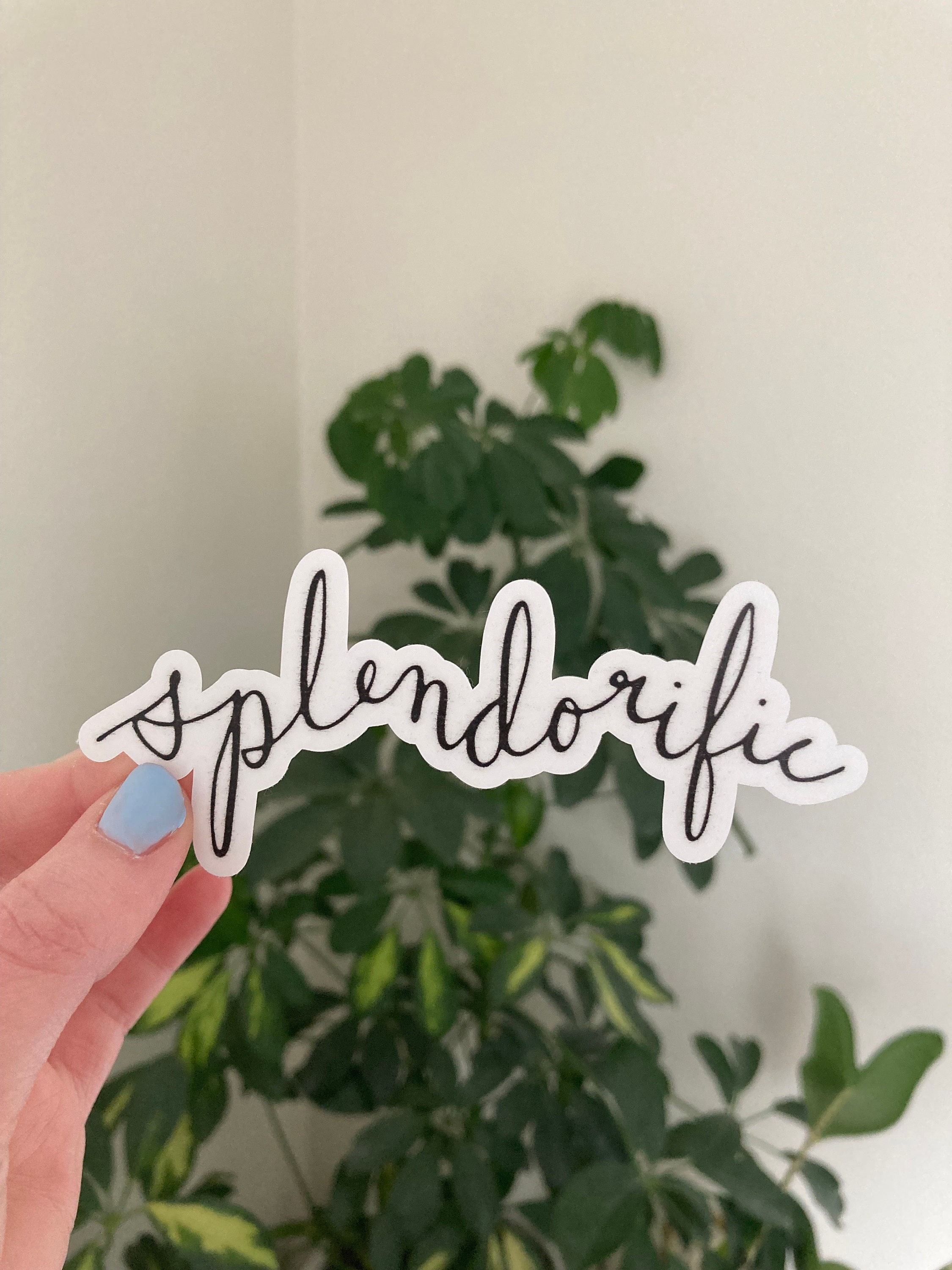 Splendorific Sticker Hand Lettered Word Decal With Fun Saying - Etsy