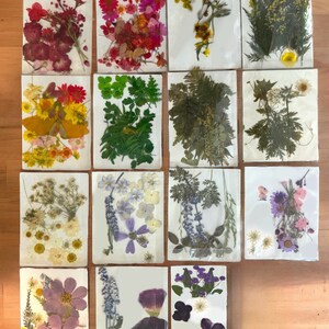 Custom Decorative Dried Pressed Flowers or Flower Petal Floral Dagger ...