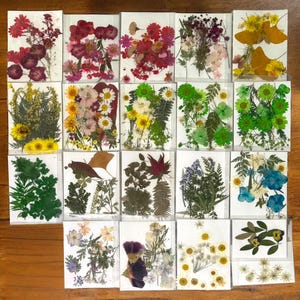 Custom Decorative Dried Pressed Flowers or Flower Petal Floral Dagger ...