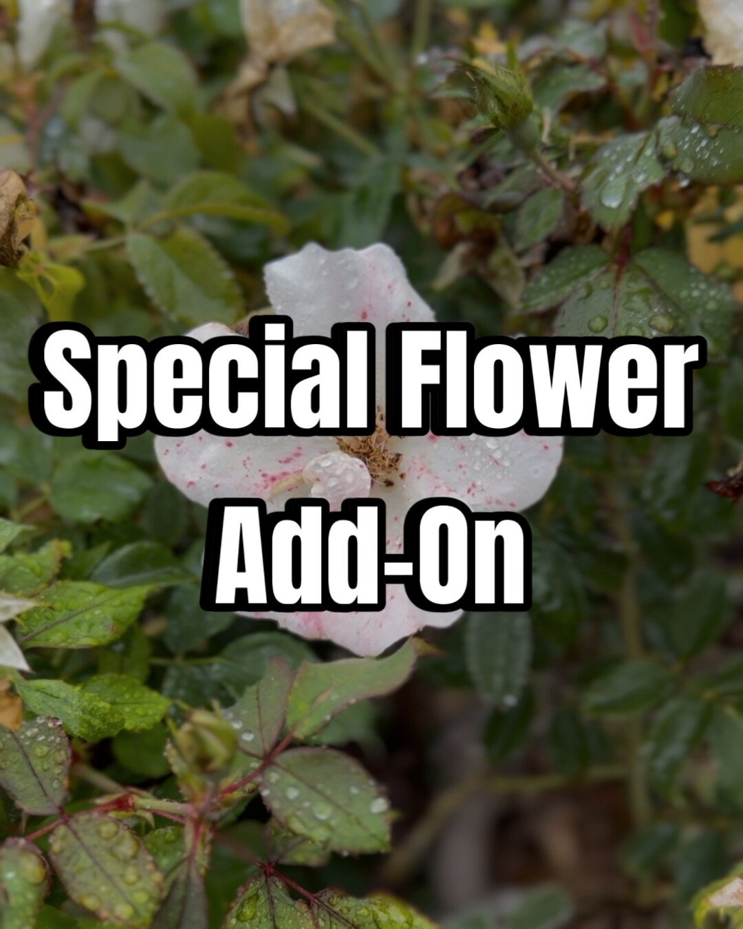 Add on Only! Specialized Flower Order - Etsy