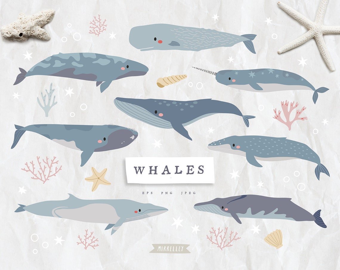 Whale Clipart Nautical Clip Art Sea Creatures Narwhal Clipart Blue ...