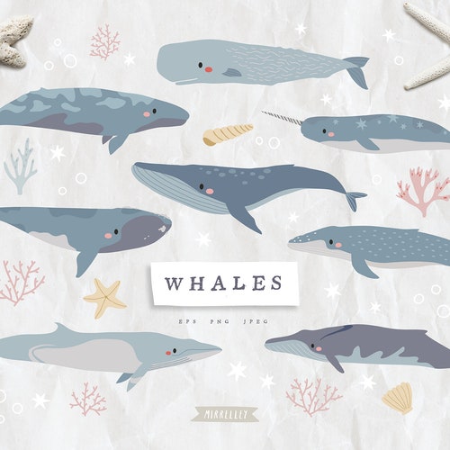 Whale Clipart Nautical Clip Art Sea Creatures Narwhal Clipart - Etsy