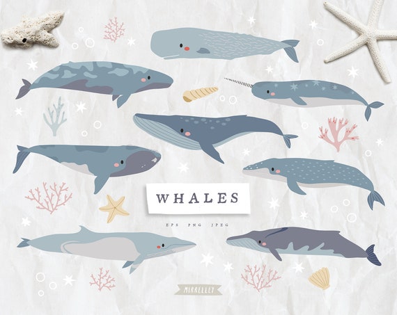 Whale Clipart Nautical Clip Art Sea Creatures Narwhal Clipart - Etsy