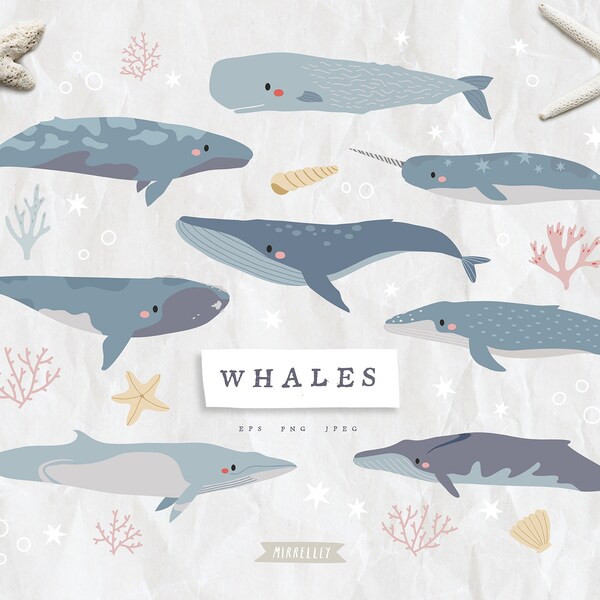 Whale Clip Art - Etsy UK