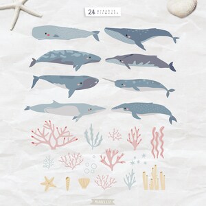 Whale Clipart Nautical Clip Art Sea Creatures Narwhal Clipart Blue ...