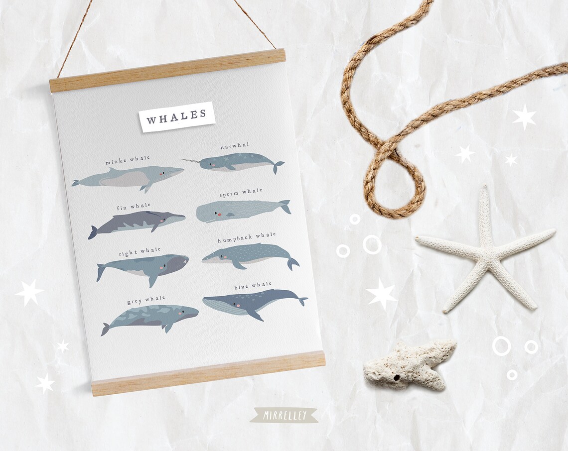 Whale Clipart Nautical Clip Art Sea Creatures Narwhal Clipart Blue ...