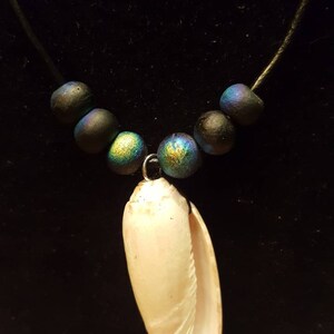 Original Sanibel Island Olive Shell Necklace, Strength & Protection ...