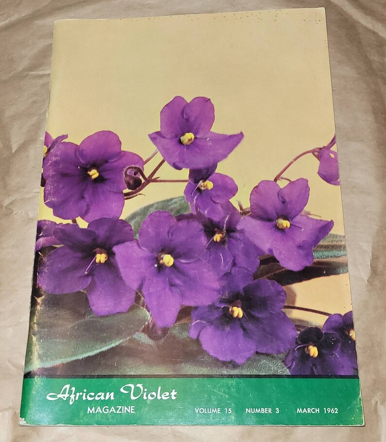 Vintage African Violet Magazine Flowers Vintage Magazines - Etsy