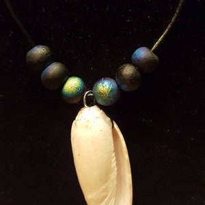 Original Sanibel Island Olive Shell Necklace, Strength & Protection ...