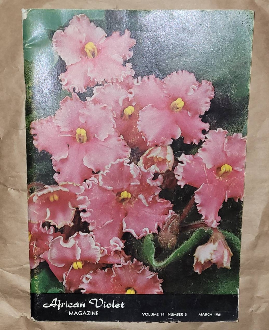 Vintage, African Violet Magazine, Flowers, Vintage Magazines, African ...