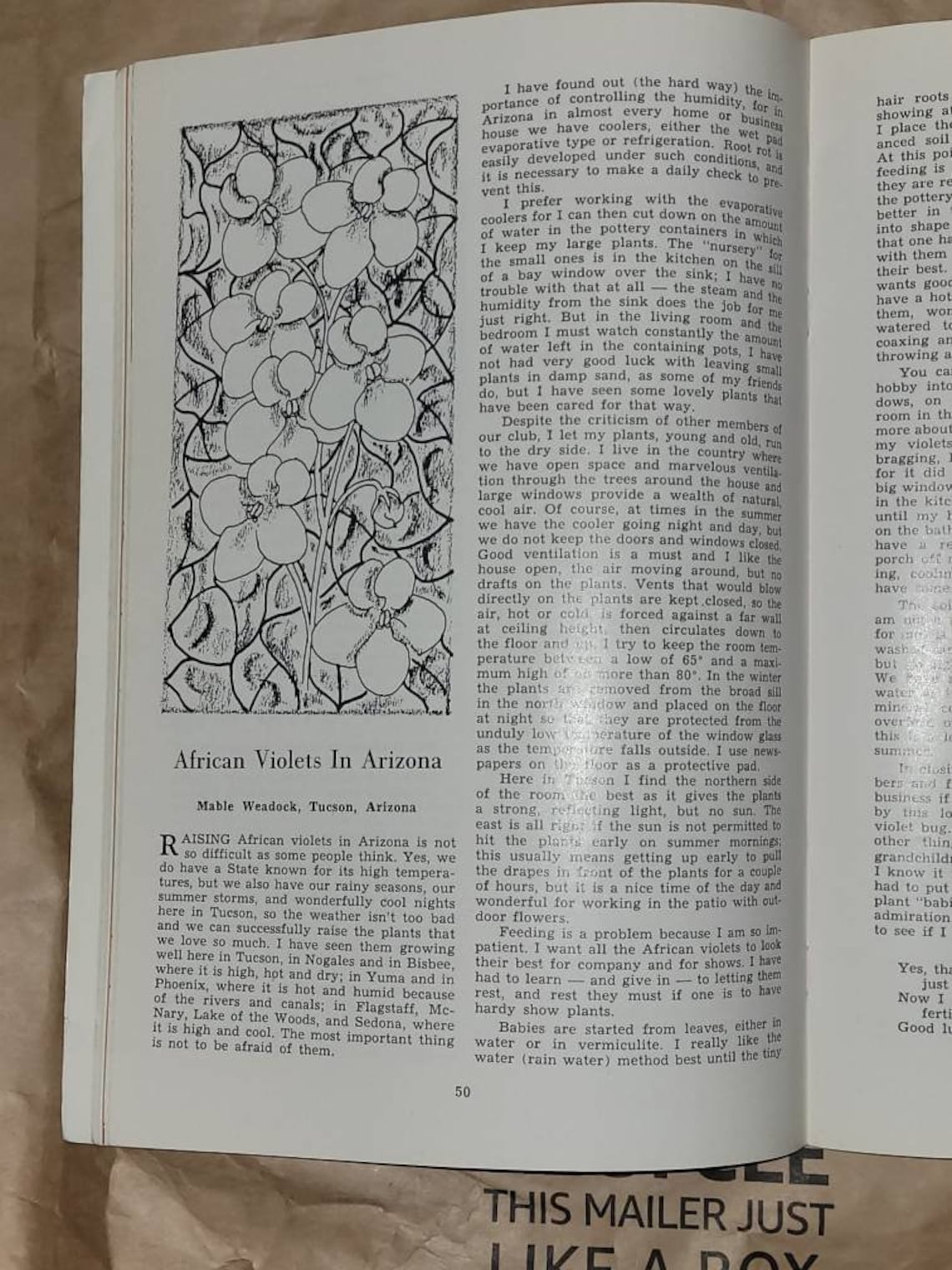Vintage, African Violet Magazine, Flowers, Vintage Magazines, African ...