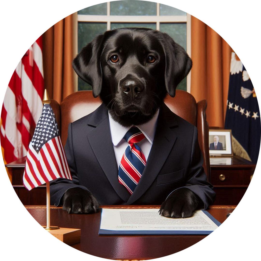 Black Labrador for President 8 Inch Wreath Sign | Home Decor ...