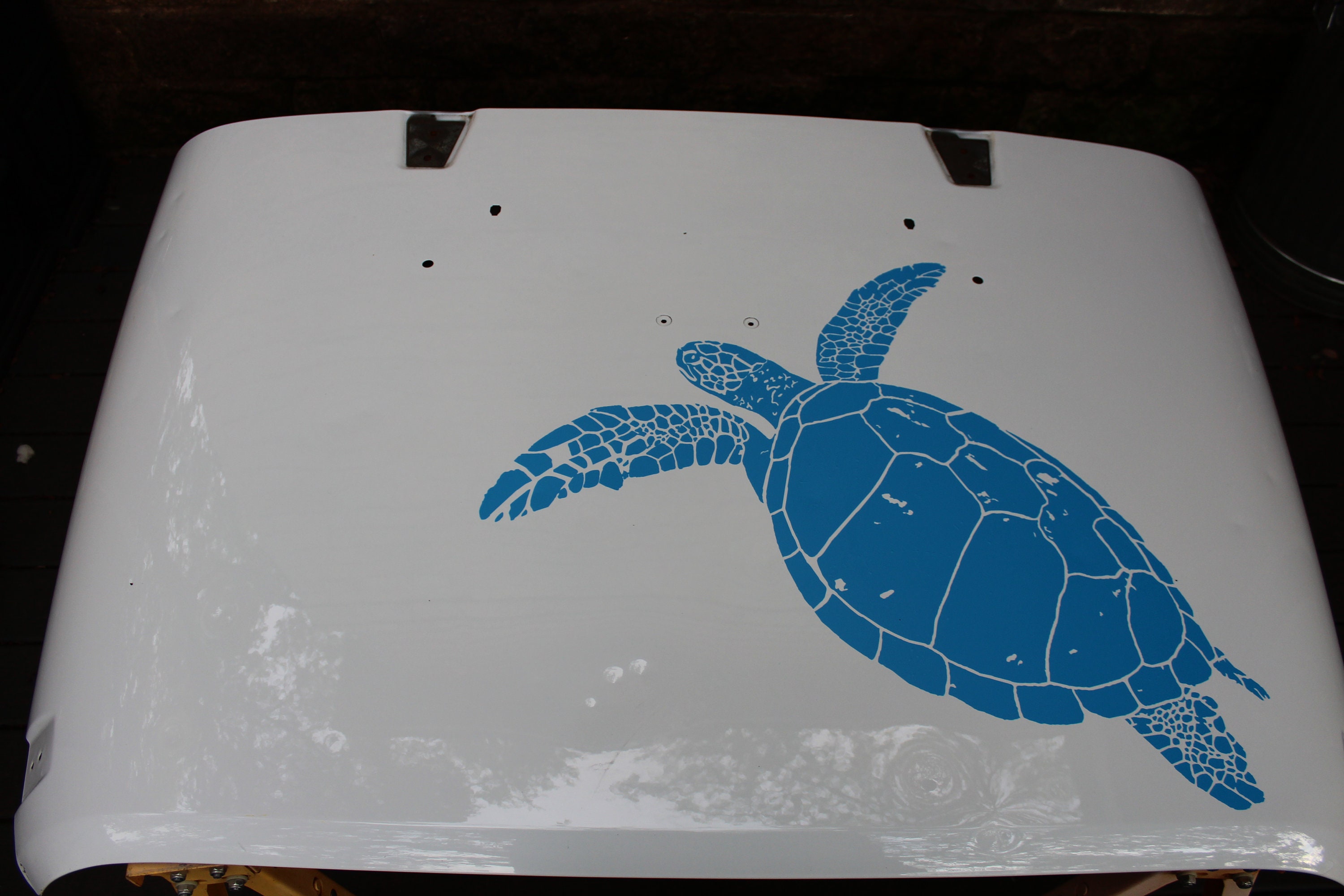 Large Sea Turtle Hood Decal for Car Truck RV or Jeep - Etsy