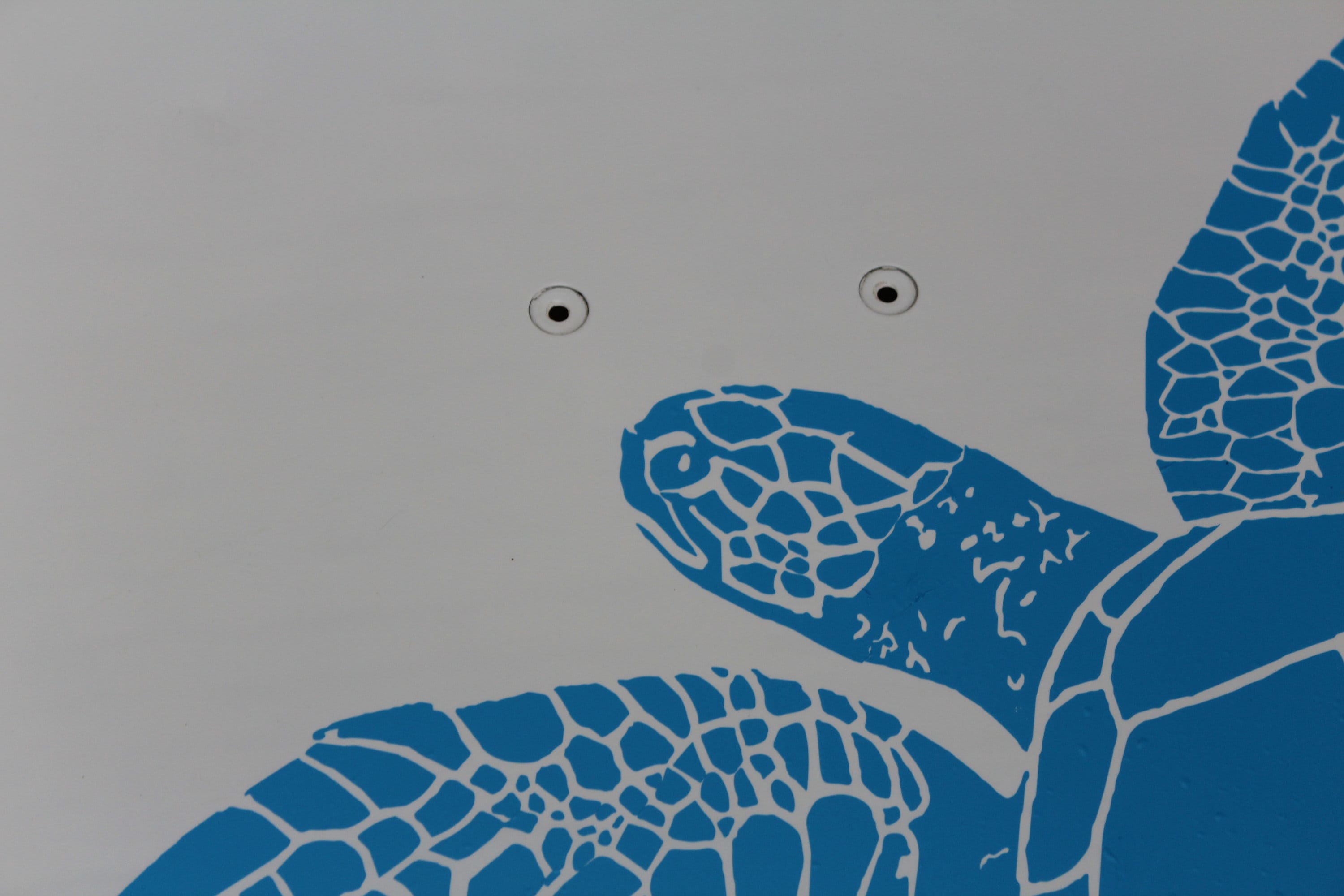 Large Sea Turtle Hood Decal for Car, Truck, RV or Jeep - Etsy