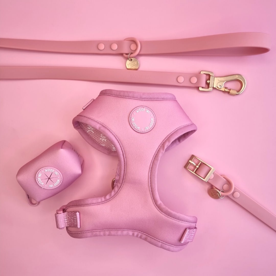 Dusty Pink Harness Set, Pink Dog Harness, Dog Harness Pink, Blush Dog ...