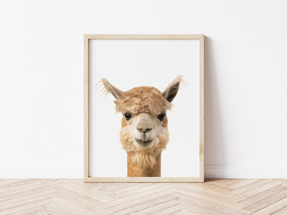 Alpaca Print, Alpaca Portrait, Animal Nursery Art, Nursery Wall Art - Etsy