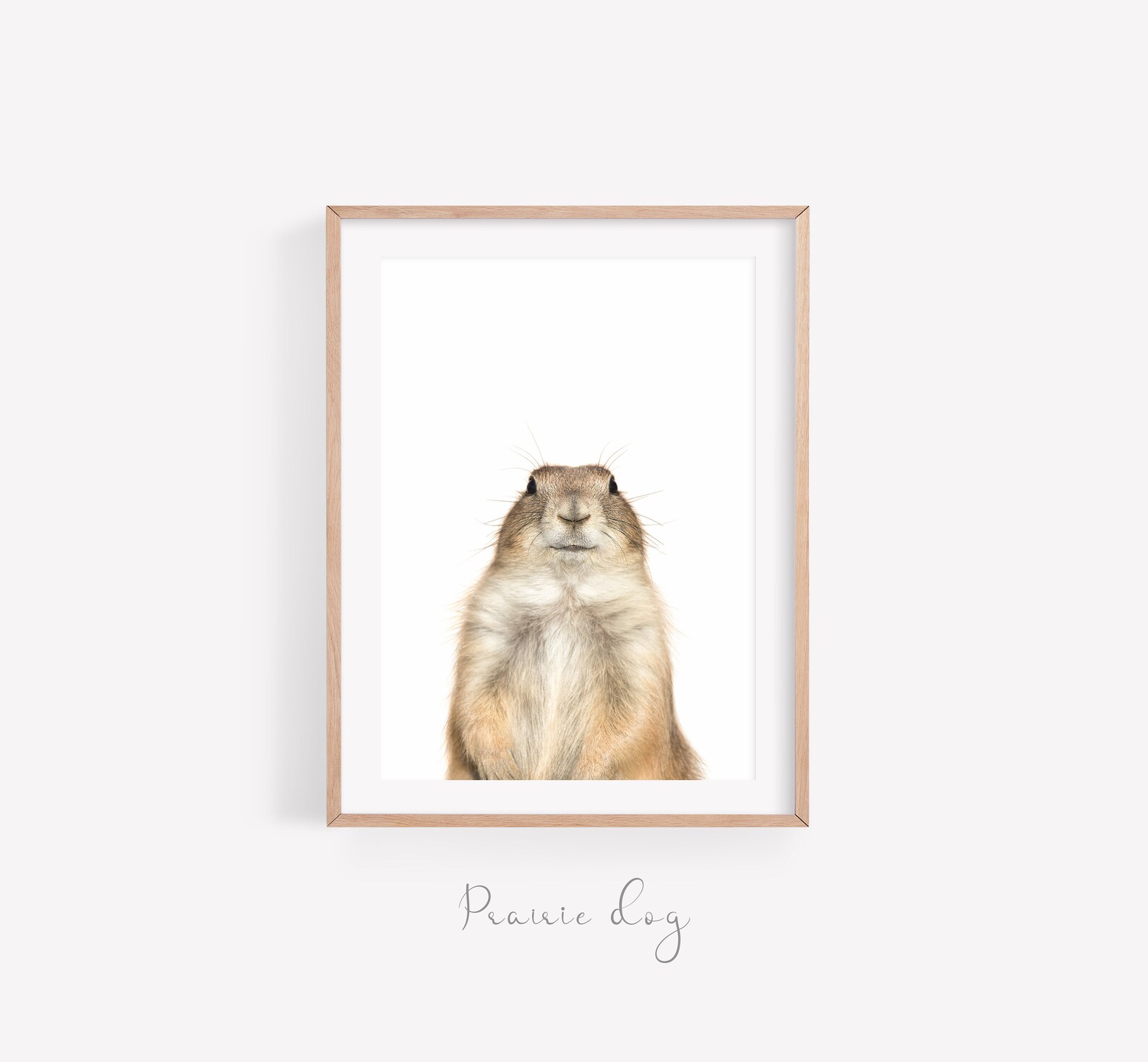 Prairie Dog Print, Prairie Dog Poster, Prairie Dog Art Print, Animal ...
