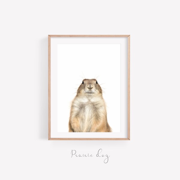 Prairie Dog Art - Etsy