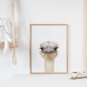 Ostrich Print, Ostrich Wall Art, Ostrich Photography, Ostrich Art Print ...