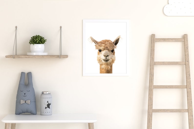 Alpaca Print, Alpaca Portrait, Animal Nursery Art, Nursery Wall Art - Etsy